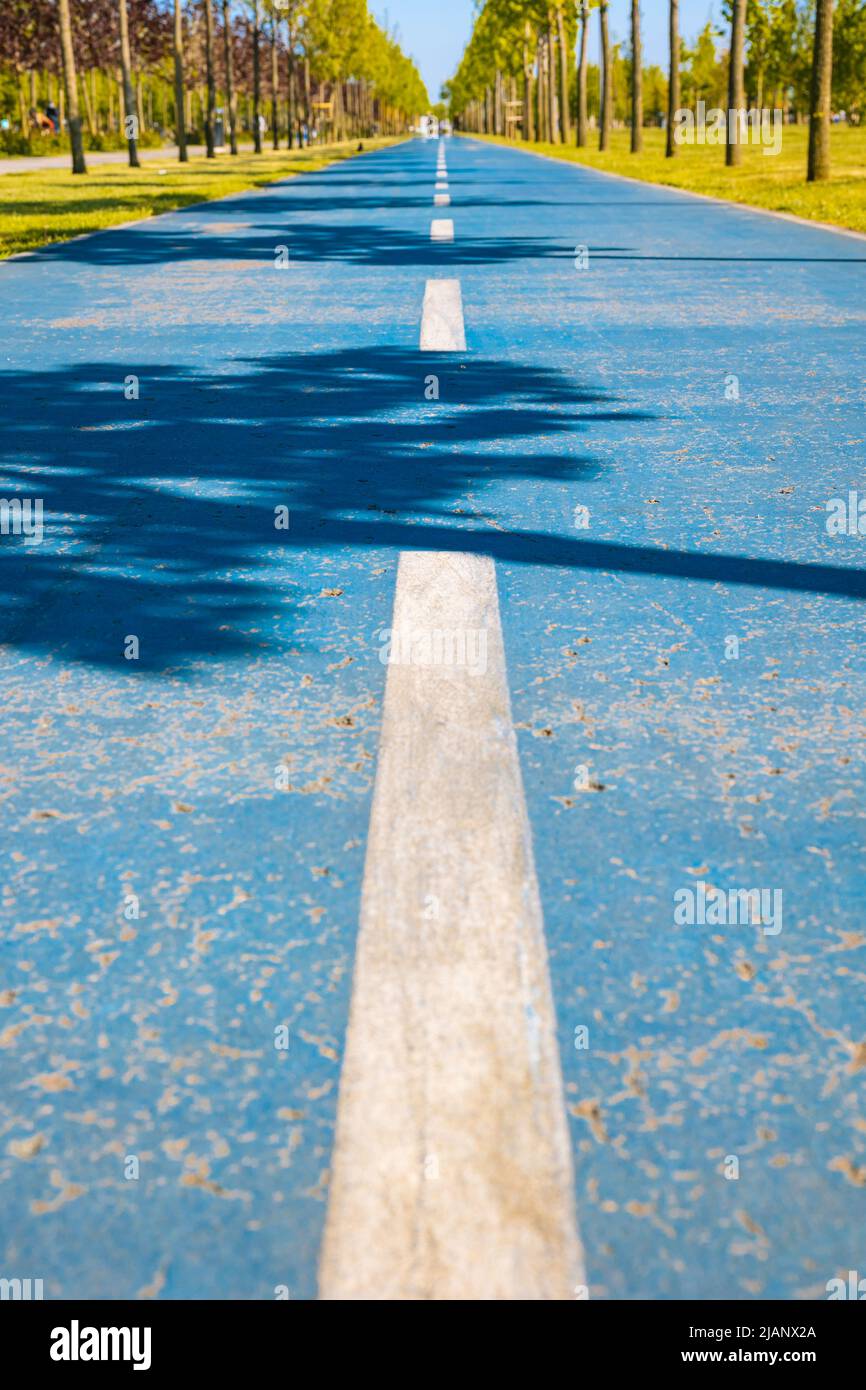 Two lanes bike or bicycle road or path in the park from ground level ...