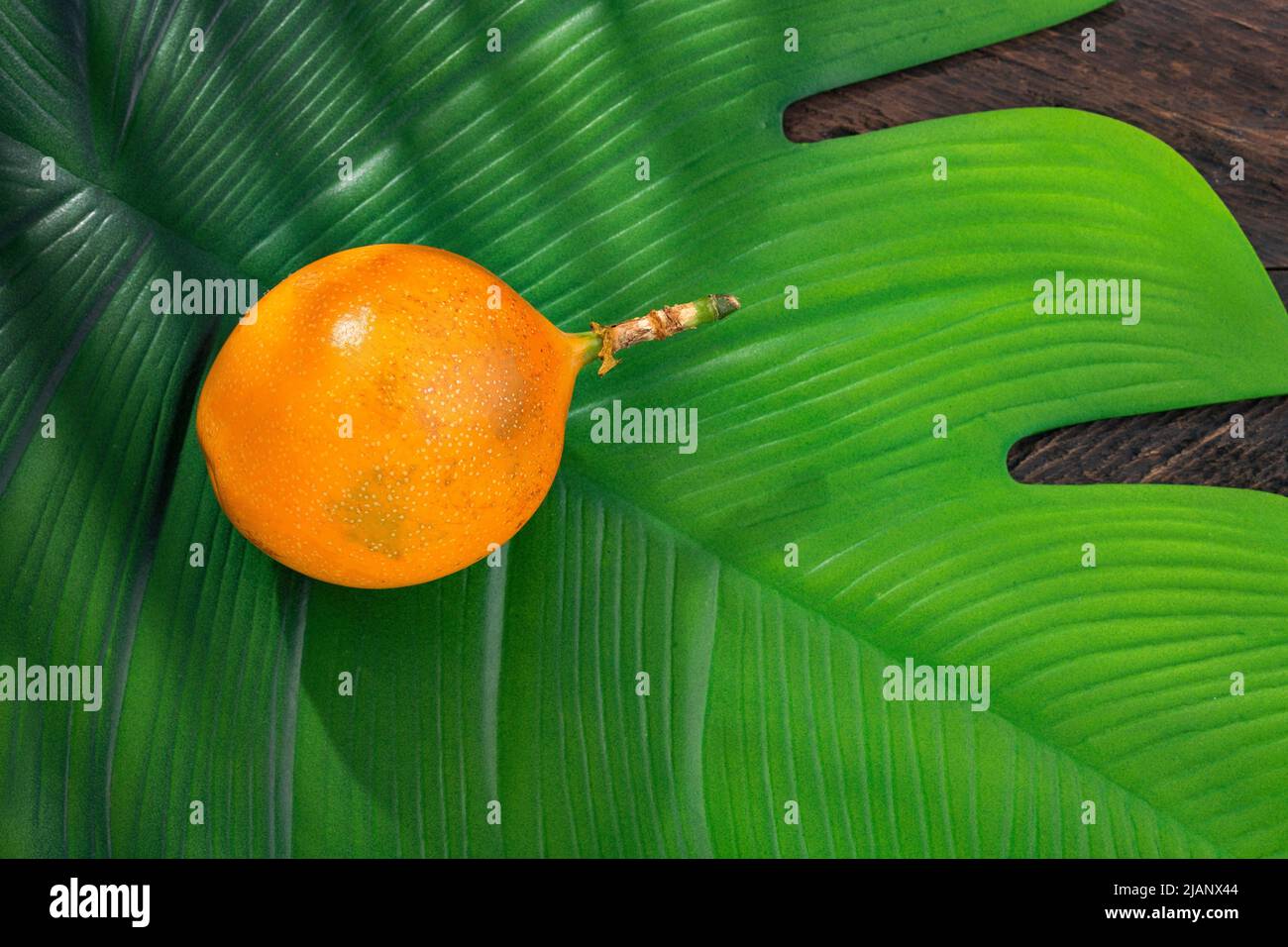 Organic ripe granadilla fruit - Passiflora ligularis Stock Photo - Alamy
