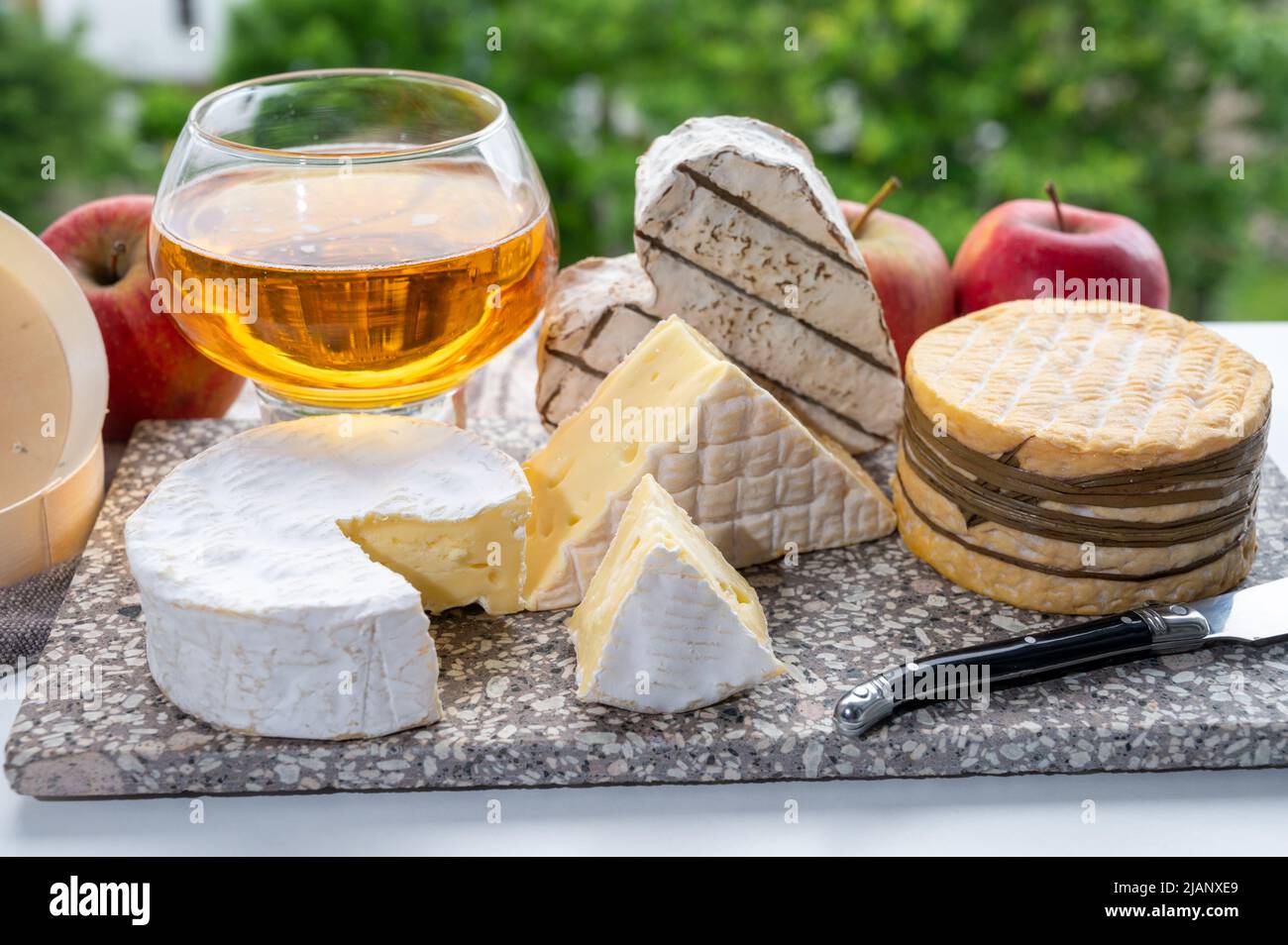 Cow cheeses of Normandy region - camembert, livarot, neufchatel, pont l ...