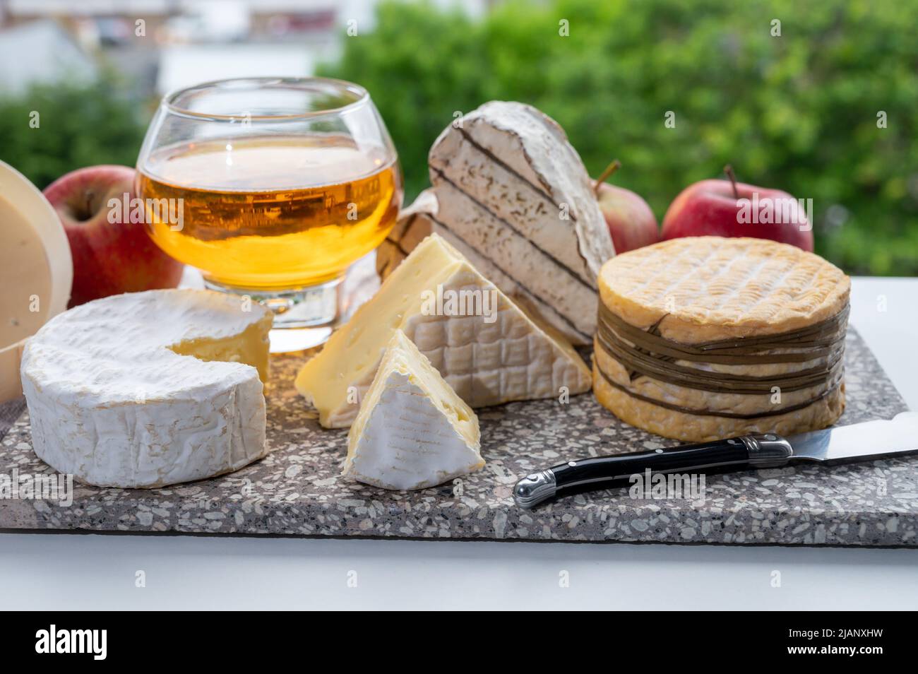 Cow cheeses of Normandy region - camembert, livarot, neufchatel, pont l ...