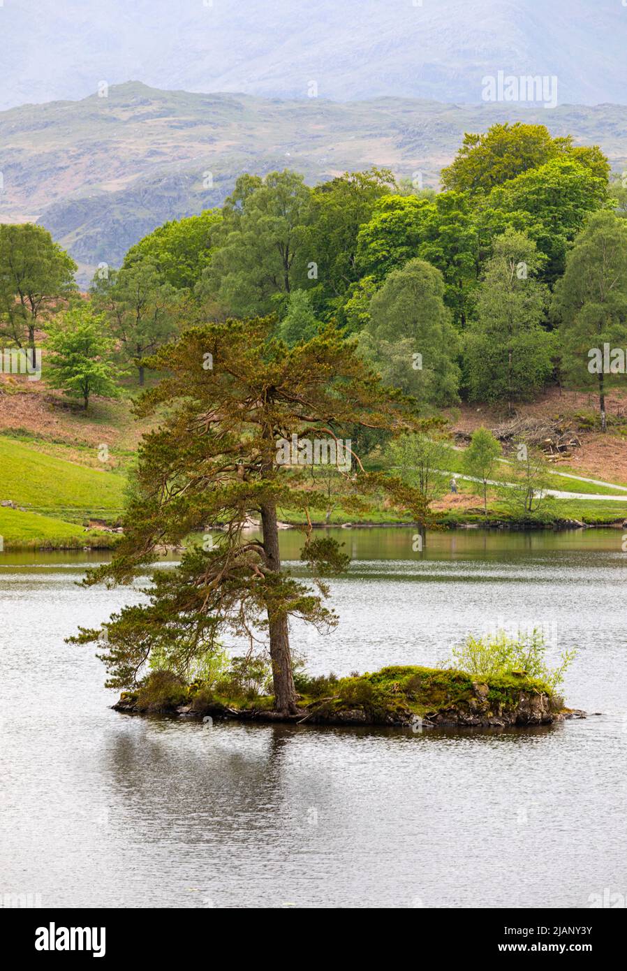 Tarn Hows Lake District Stock Photo - Alamy