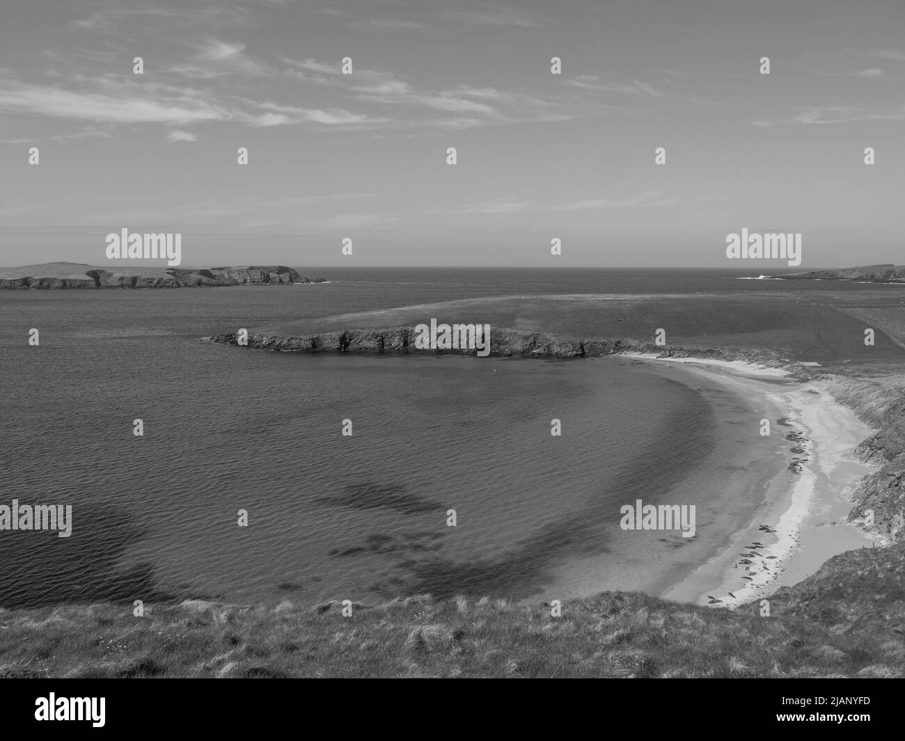 the Shetland island in scotland Stock Photo - Alamy