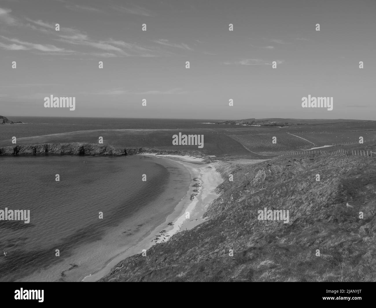 the Shetland island in scotland Stock Photo - Alamy