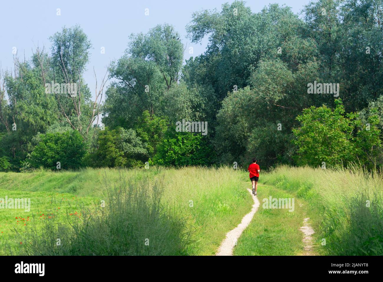 Italy, Lombardy, Man Running in Countryside Stock Photo - Alamy