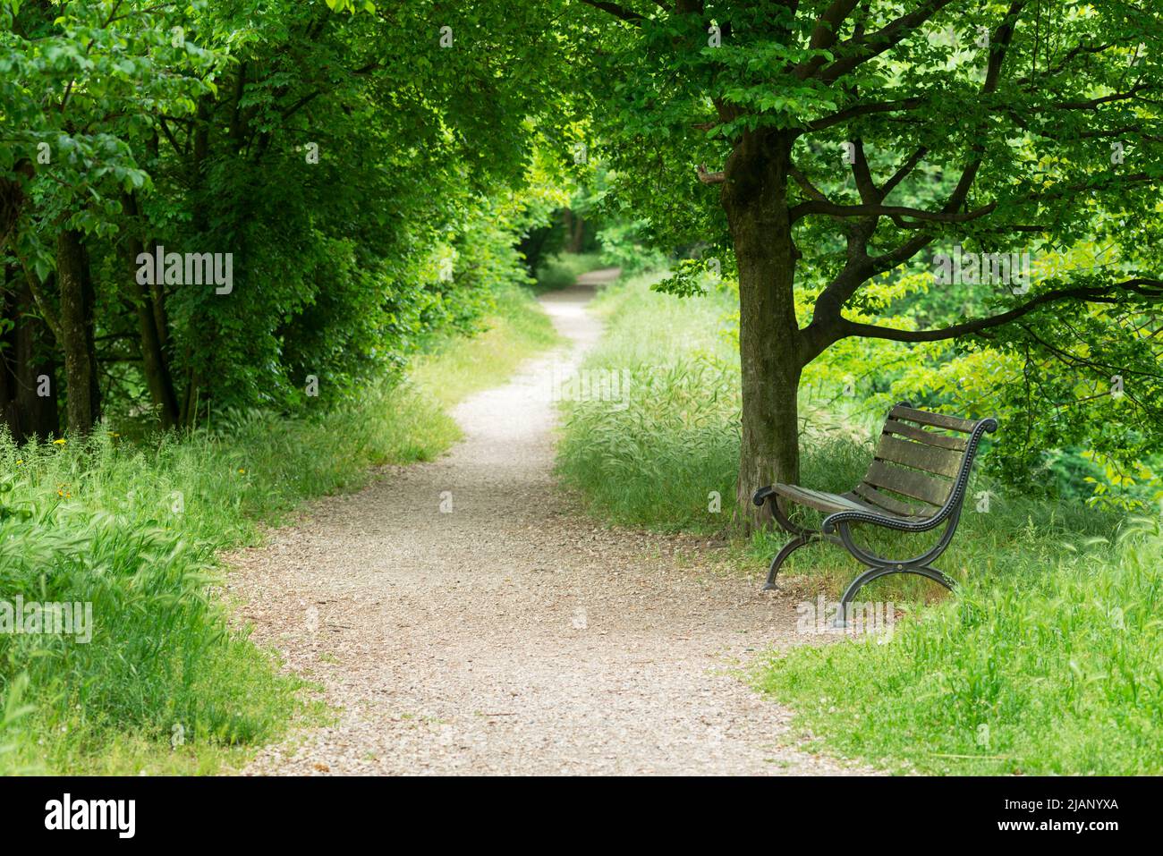 Italy, Lombardy, Crema, Parco del Serio, Wooden Park Bench Stock Photo ...