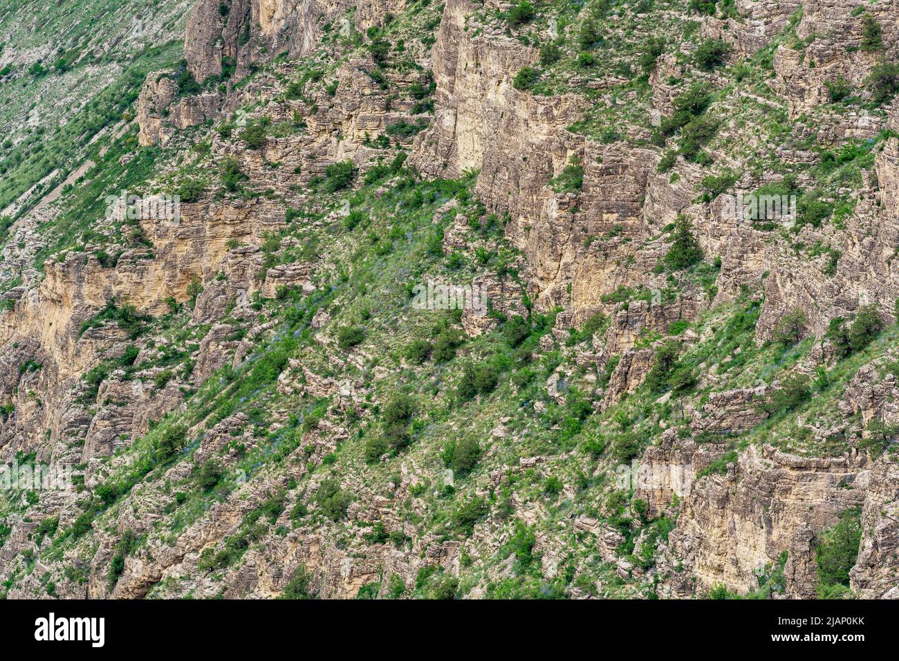 High canyon slope covered rocks hi-res stock photography and images - Alamy