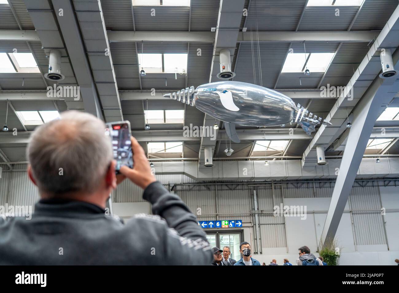 Mechanical flying objects, filled with helium, controlled by fine ...