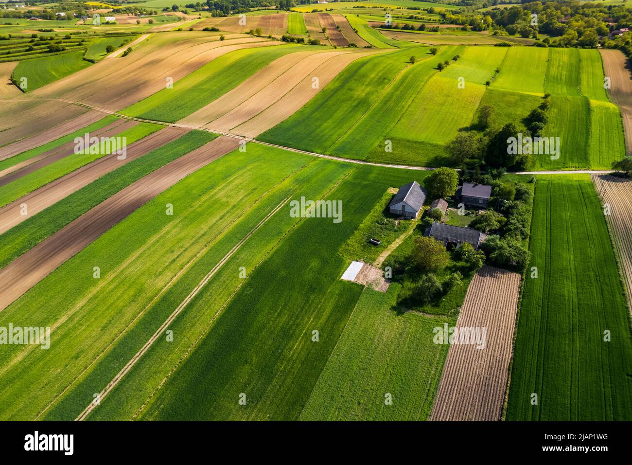 Green Lush Farm Fields and Meadows in Poland at Spring Stock Photo - Alamy