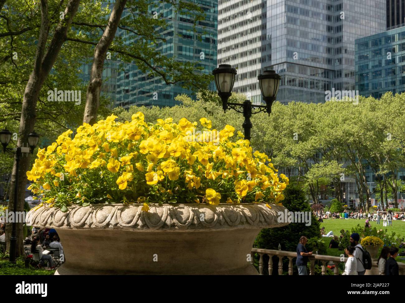 Bryant Park boasts beautiful flowers in the springtime, New York City ...
