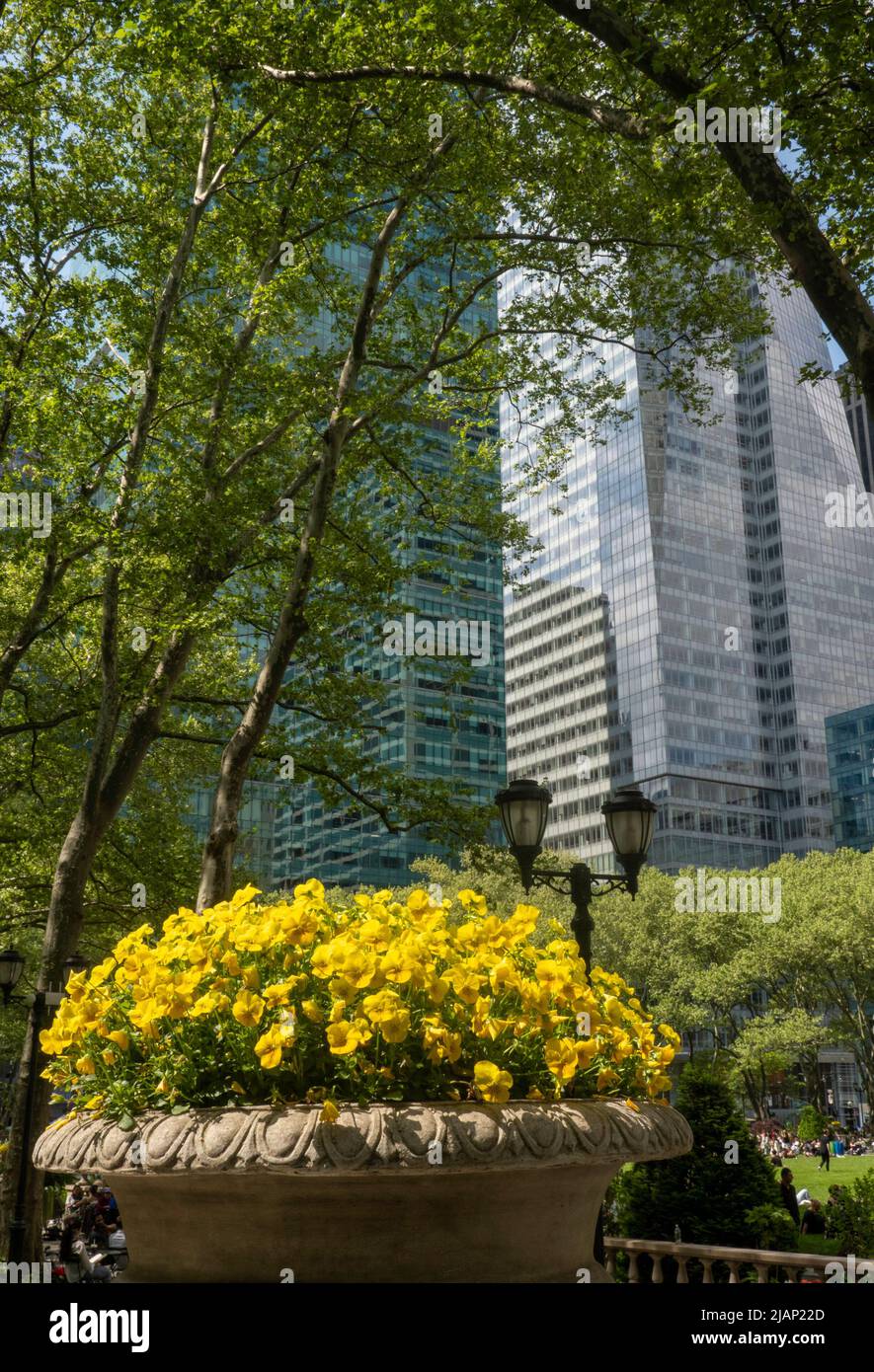 Bryant Park boasts beautiful flowers in the springtime, New York City ...