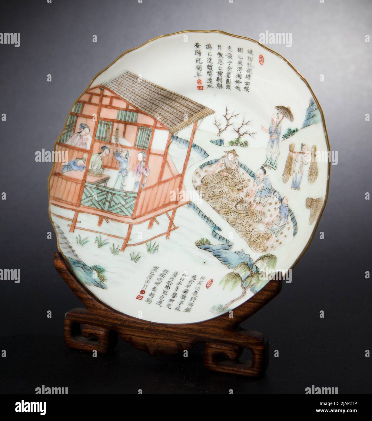 Plaster a stage of rice, stand unknown Stock Photo - Alamy