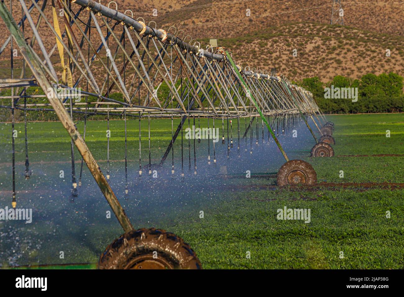 Irrigation system in the fields of Fronteras, Mexico. Fronteras town in ...