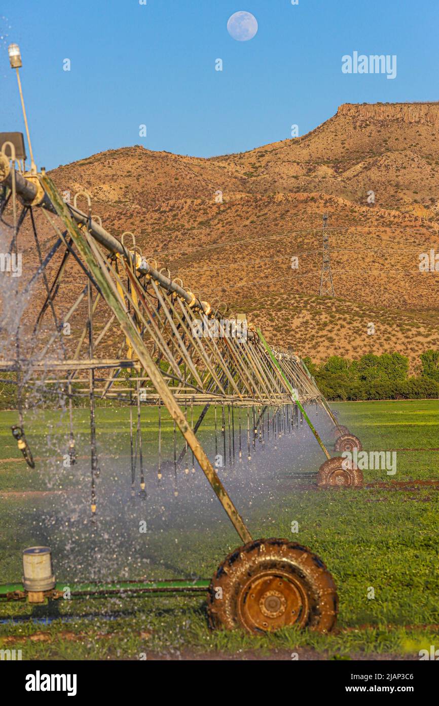 Full moon in the east and irrigation system in the fields of Fronteras ...
