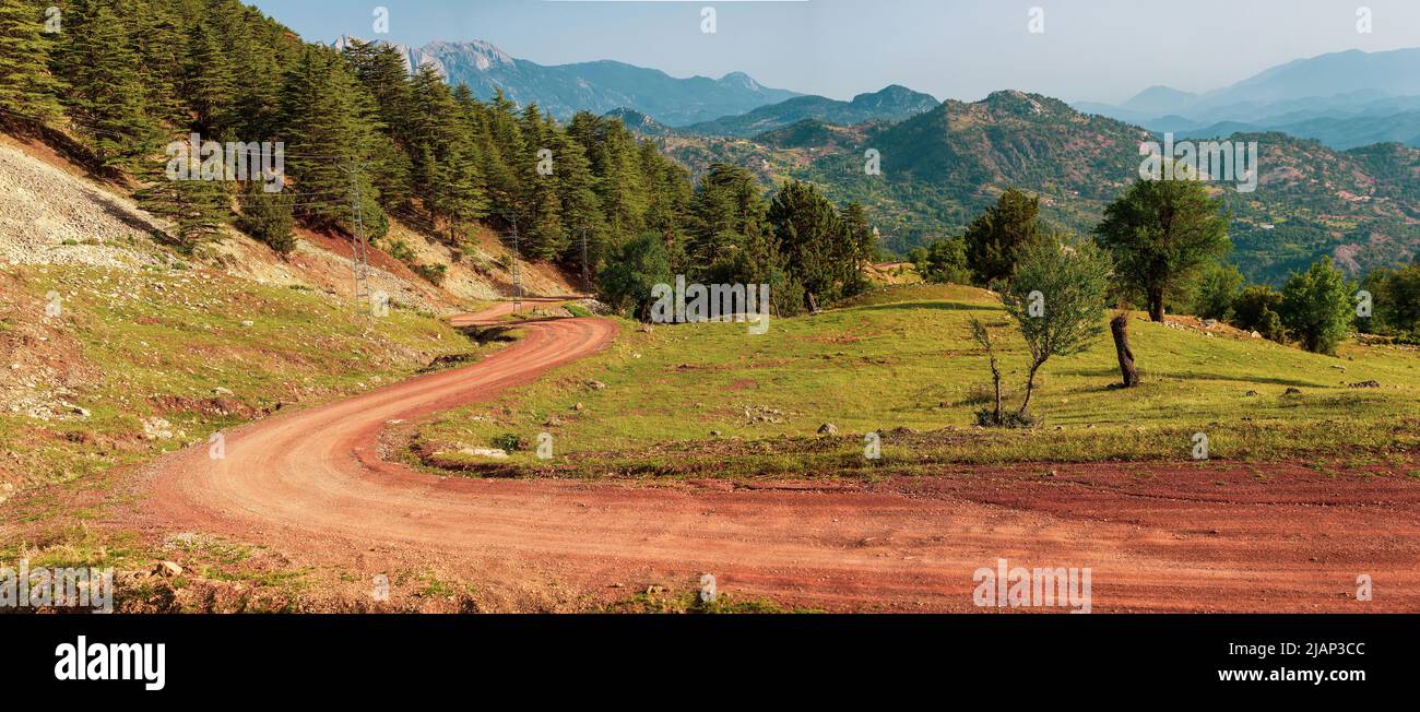 Cedar forest landscape and dirt road in Turkey Stock Photo - Alamy