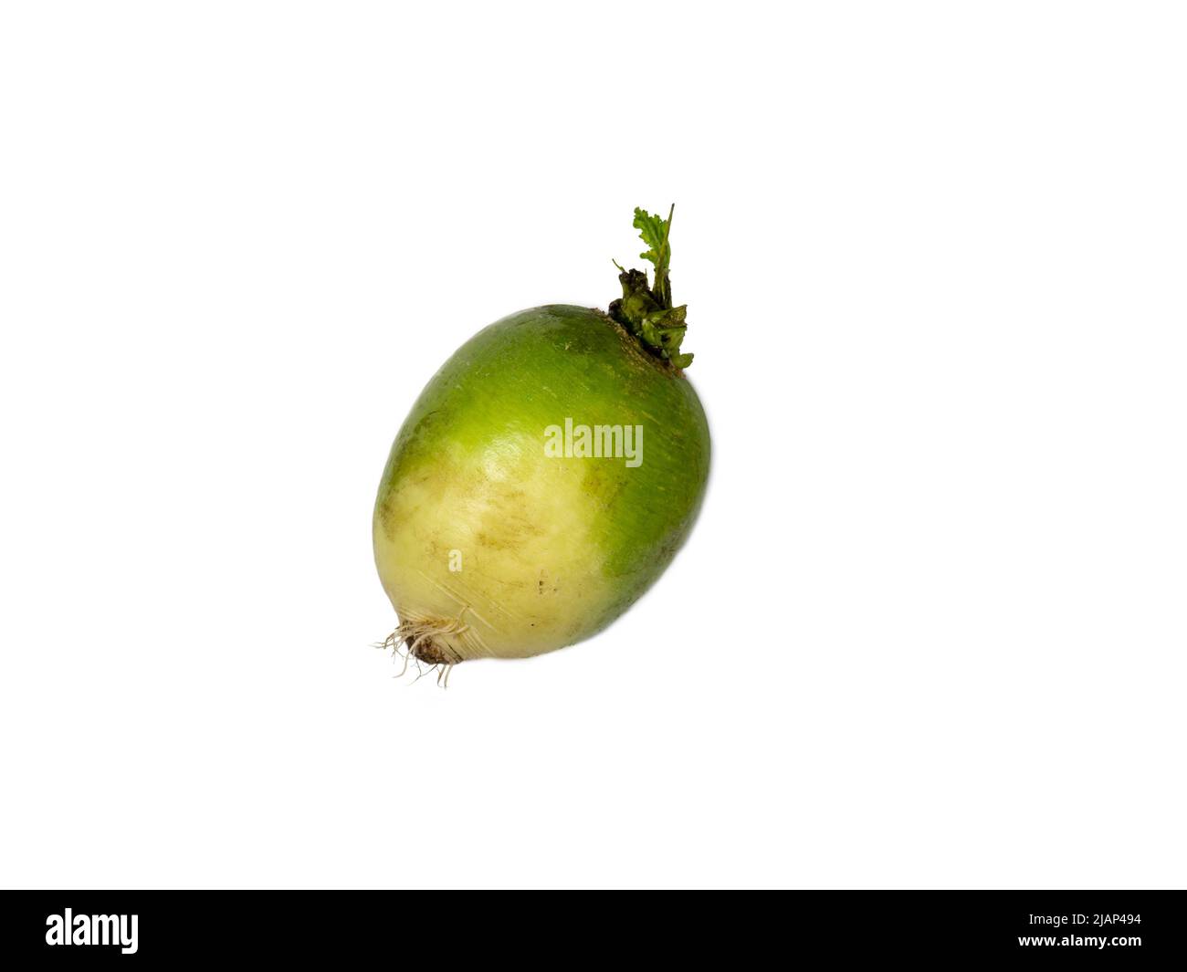Radish on a white background. A useful product. Vegetable Stock Photo ...