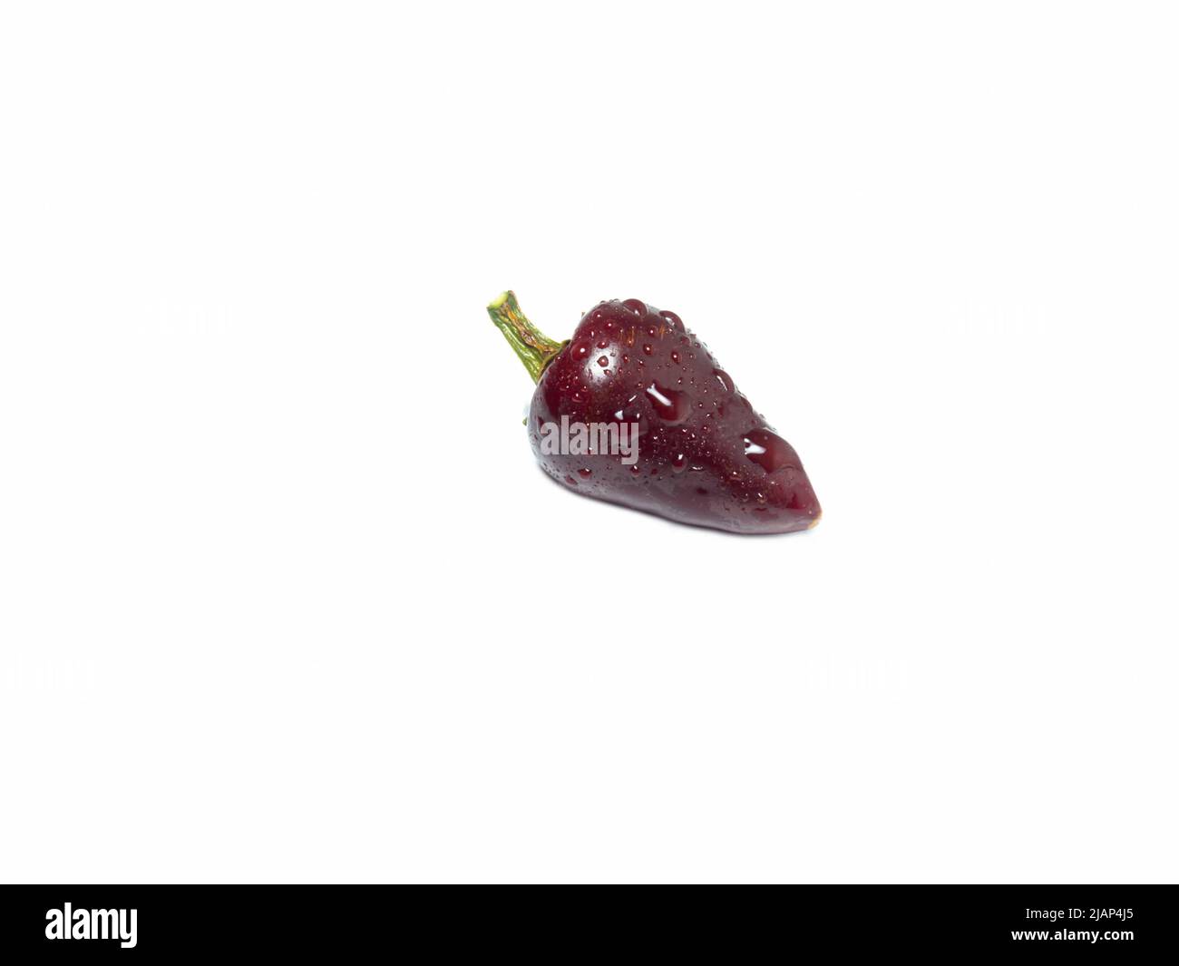 hot small red pepper on a white background Stock Photo - Alamy
