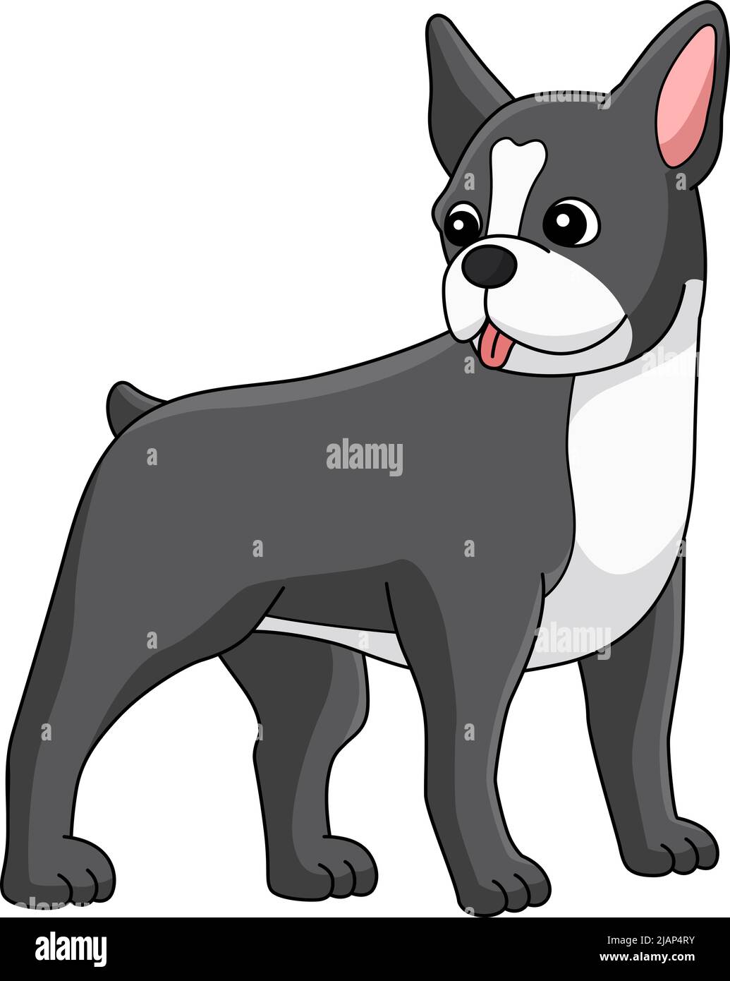 Boston Terrier Dog Cartoon Clipart Illustration Stock Vector Image ...