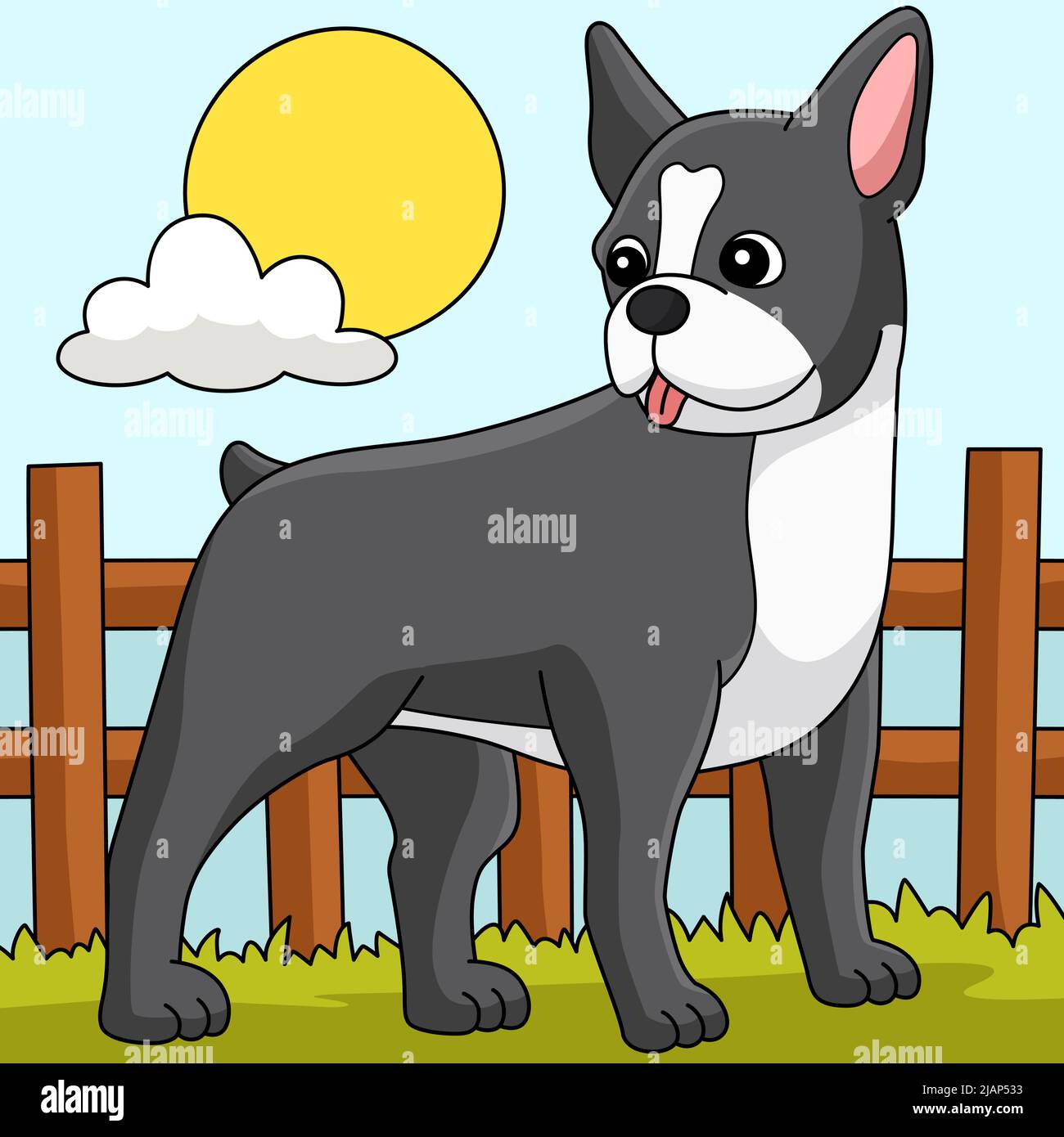 Boston Terrier Dog Colored Cartoon Illustration Stock Vector Image ...