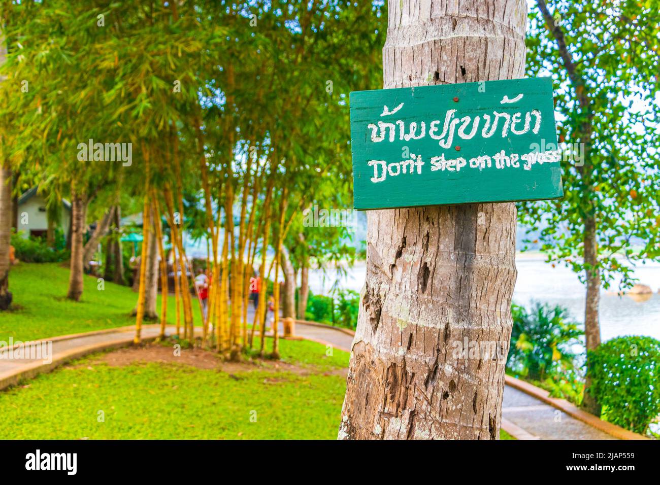 Natural riverview Park and jungle panorama of the landscape Mekong ...