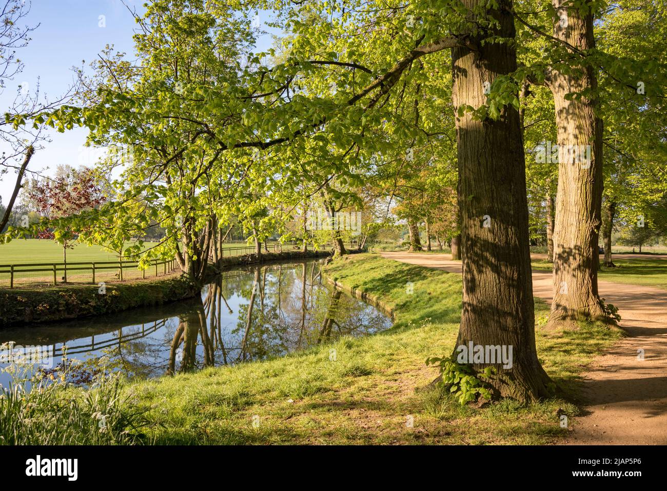 Spring view of the River Cherwell, Christ Church Meadow, Oxford, UK ...