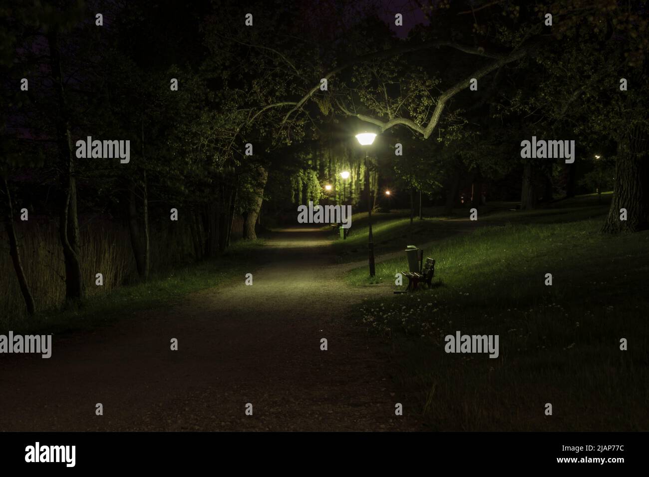 walking in the park at night Stock Photo - Alamy