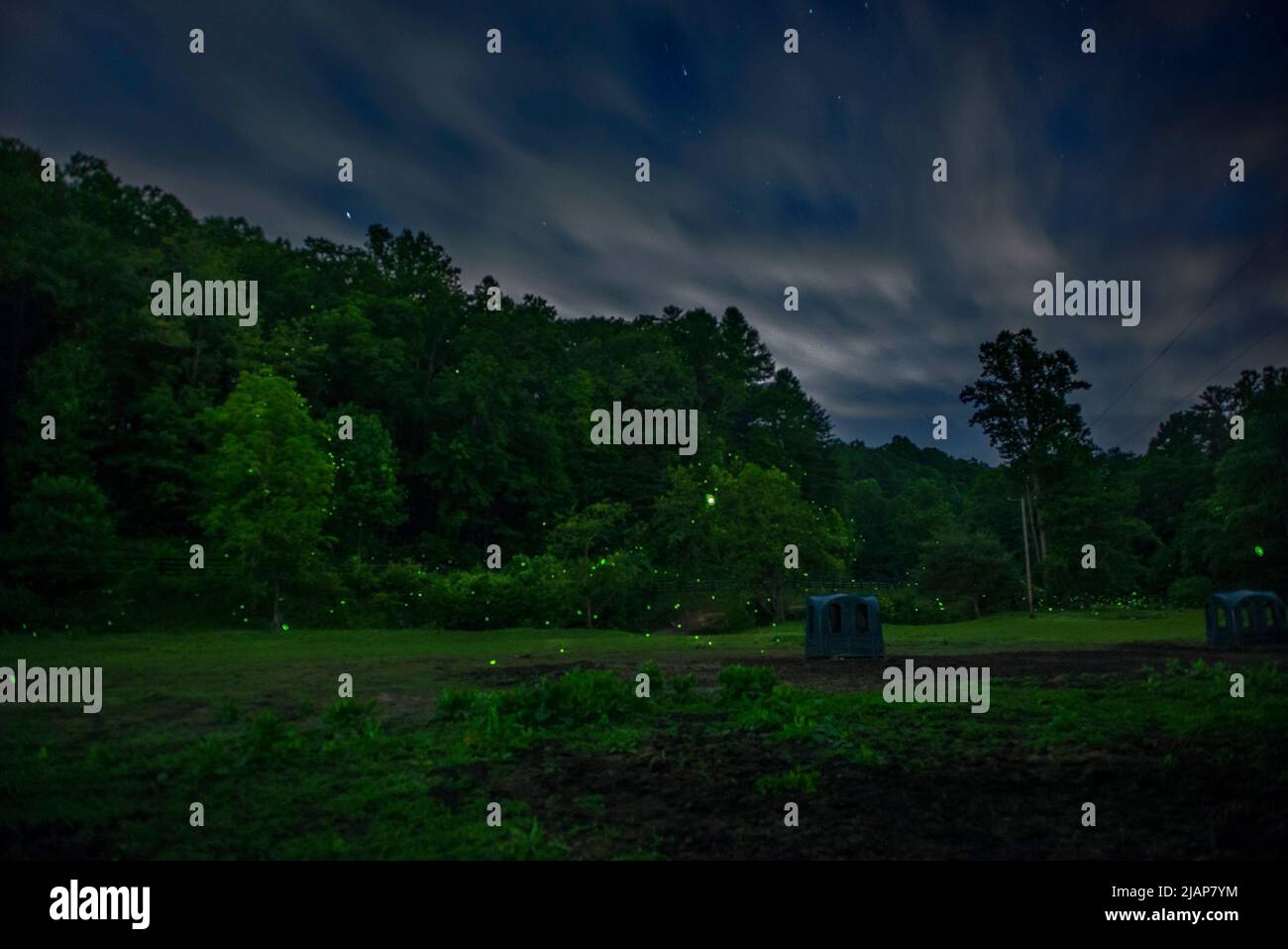 Summer night forest hi-res stock photography and images - Alamy