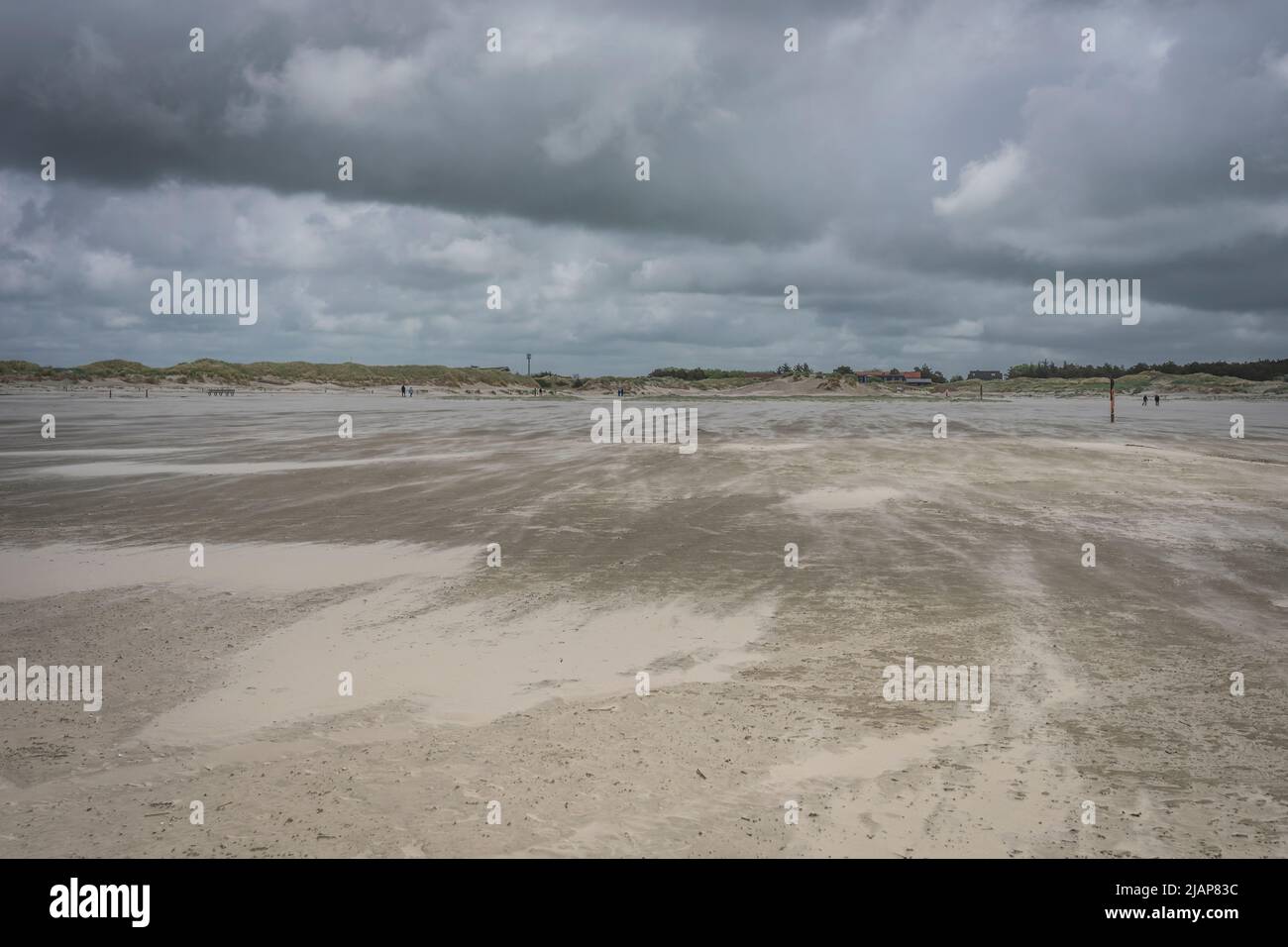 storm over the nord sea beach Stock Photo - Alamy