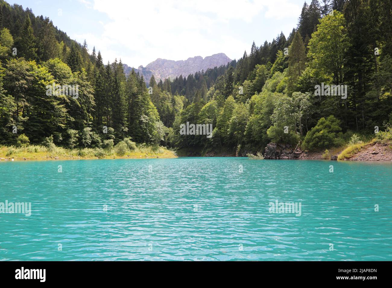 Lago di sauris hi-res stock photography and images - Alamy