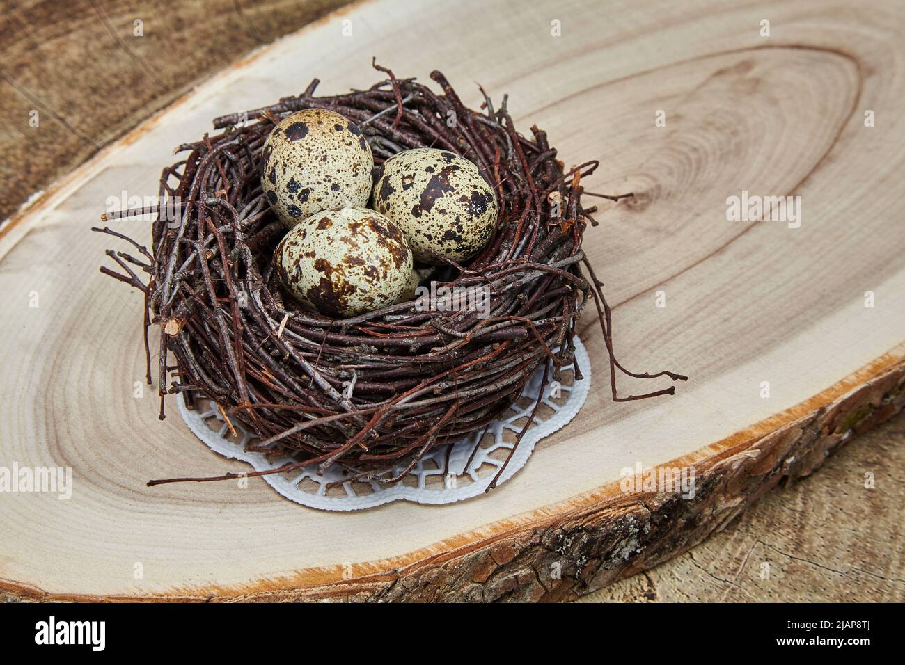 Easter eggs in a stand hi-res stock photography and images - Alamy