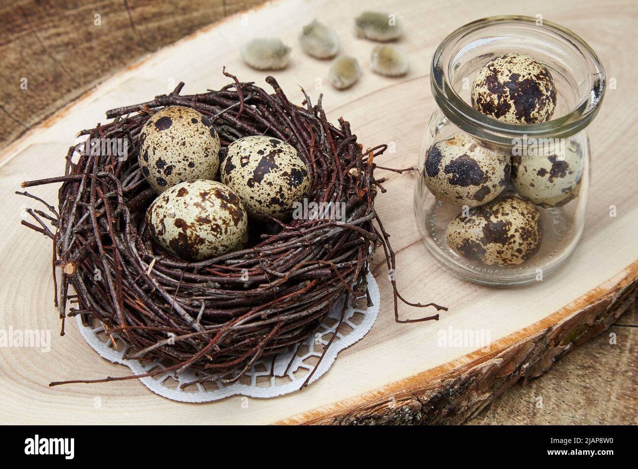 Quail Eggs Bird