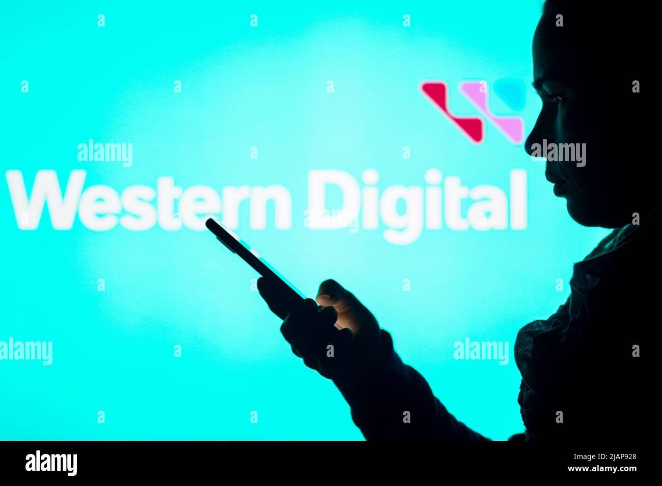 In this photo illustration, the Western Digital logo is seen in the ...