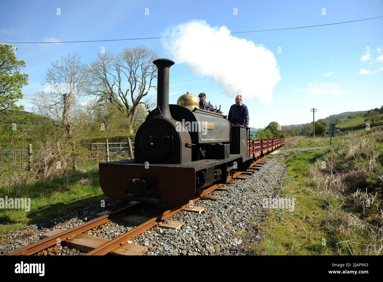 "Winifred" and train at Dolfawr Crossing Stock Photo - Alamy