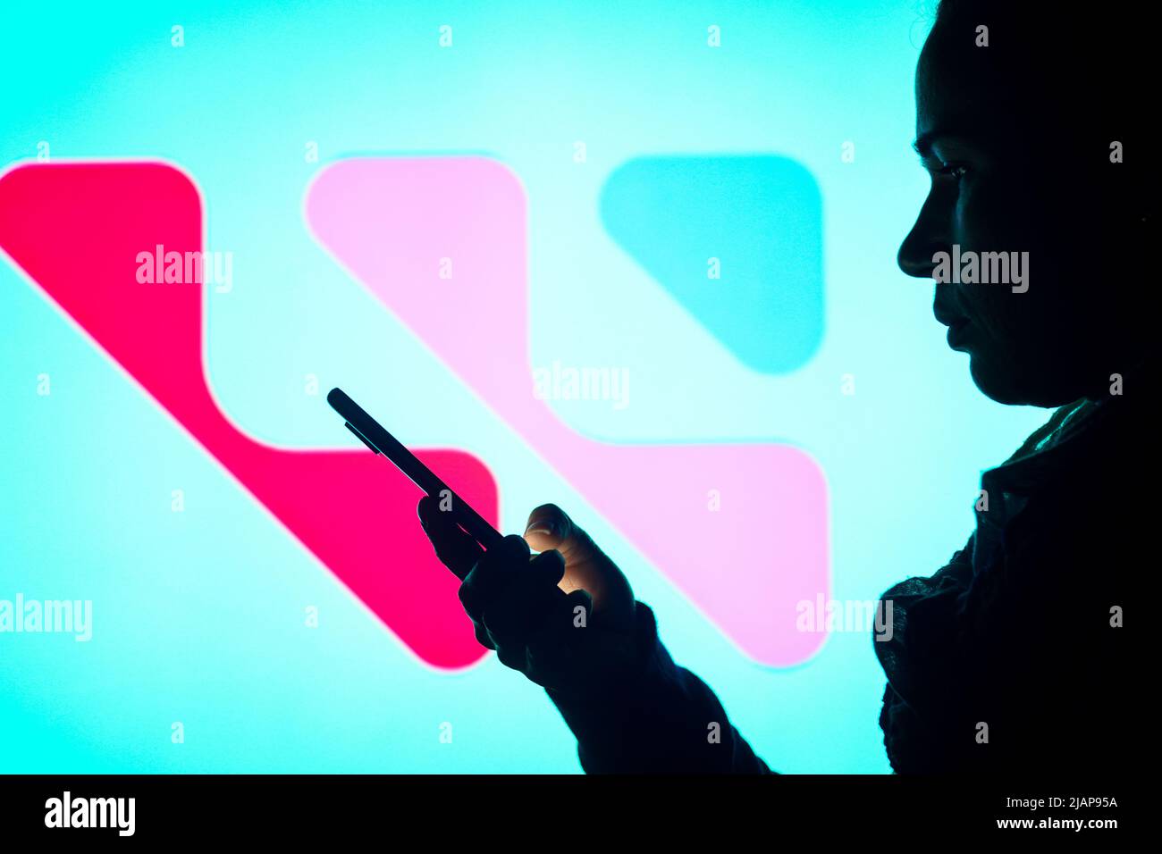 In this photo illustration, the Western Digital logo is seen in the ...