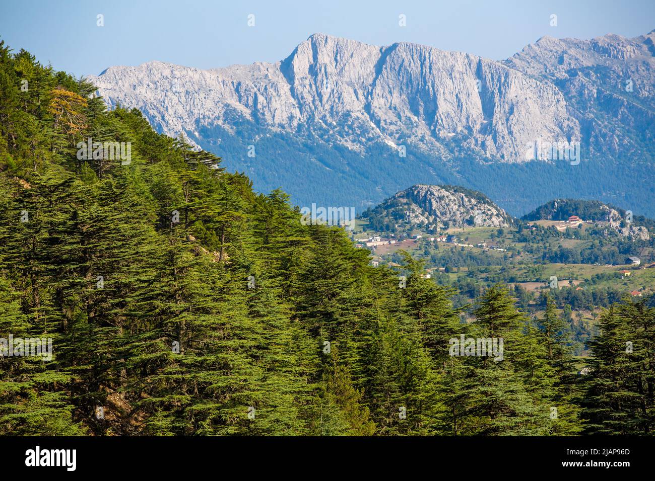 Cedar mountains hi-res stock photography and images - Alamy