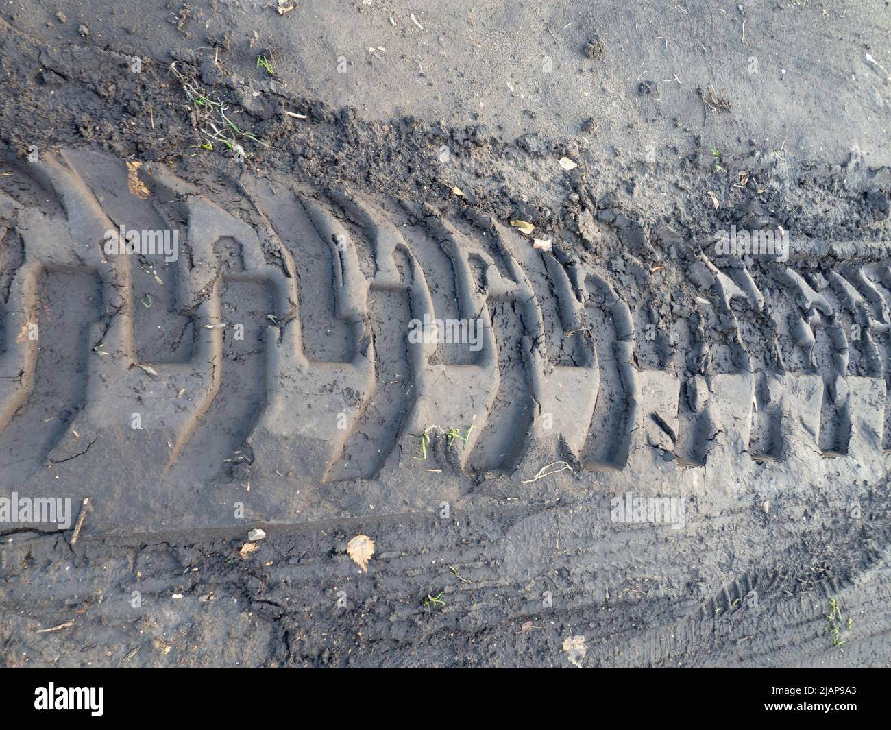Heavy machinery wheel marks on wet ground. Tractor tire track Stock ...