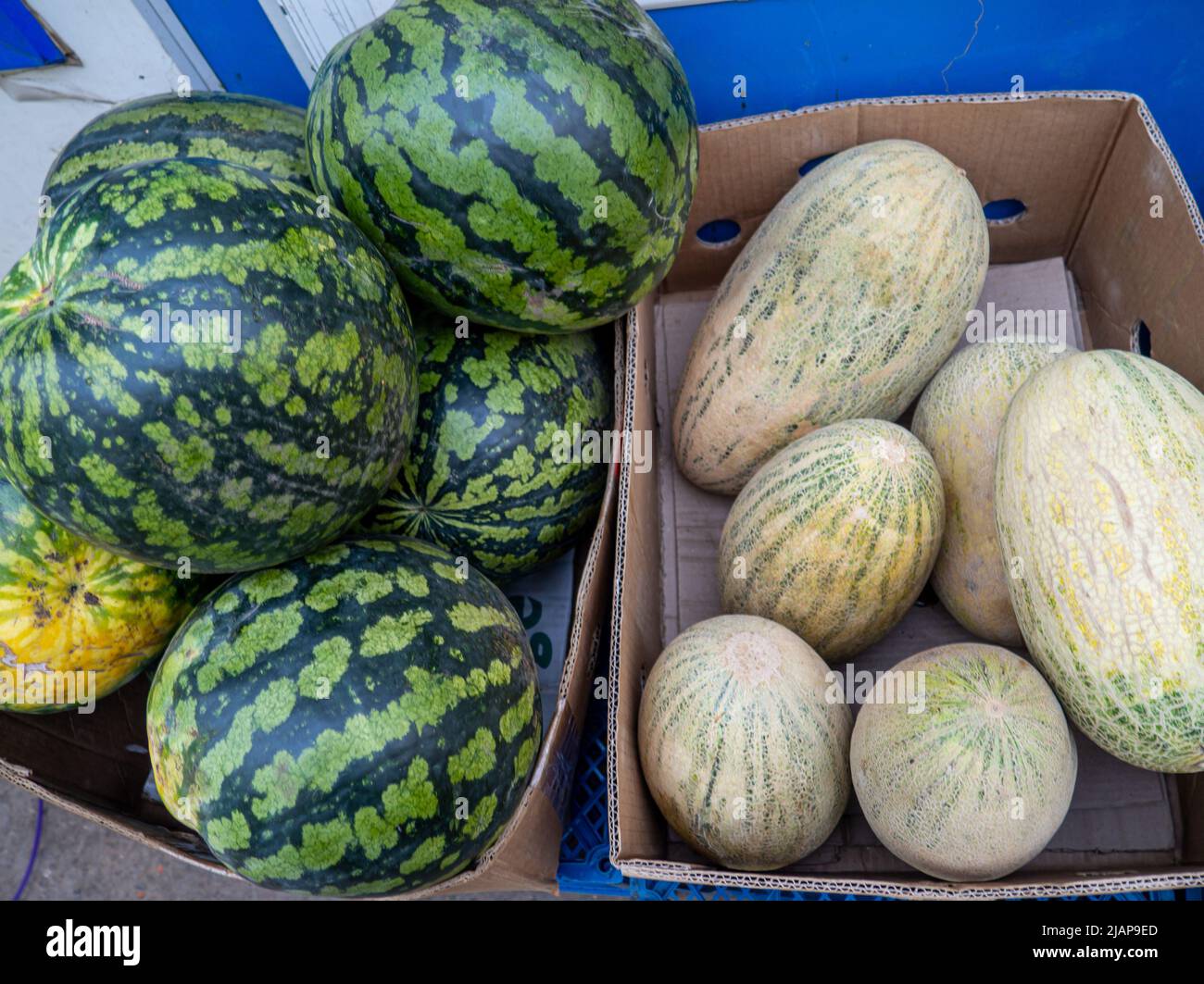 melons and watermelons in cardboard boxes on the market Stock Photo - Alamy