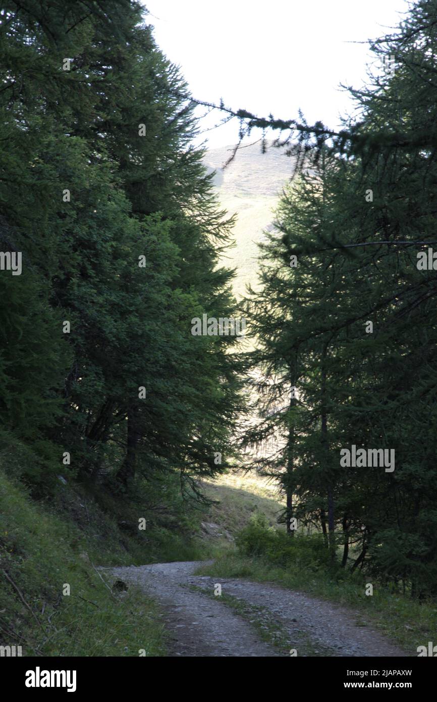 Chemin ensoleillé hi-res stock photography and images - Alamy