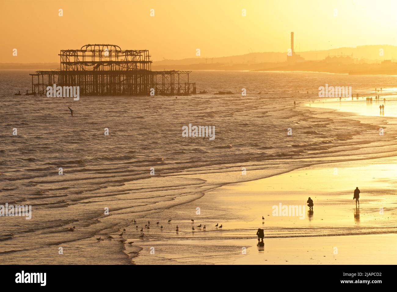 Silhouetted shapes of people on the beach at low tide, Brighton & Hove ...