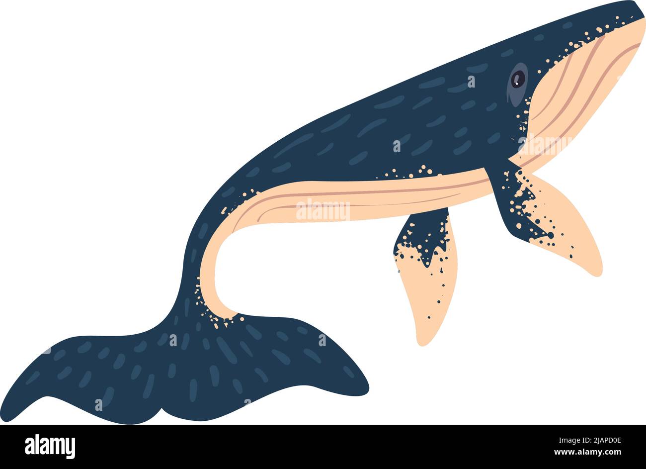 flat blue whale Stock Vector Image & Art - Alamy