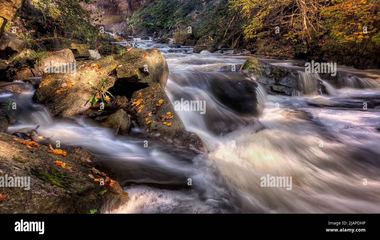 Cascades just downstream from Webster's Falls in the Spencer Gorge ...