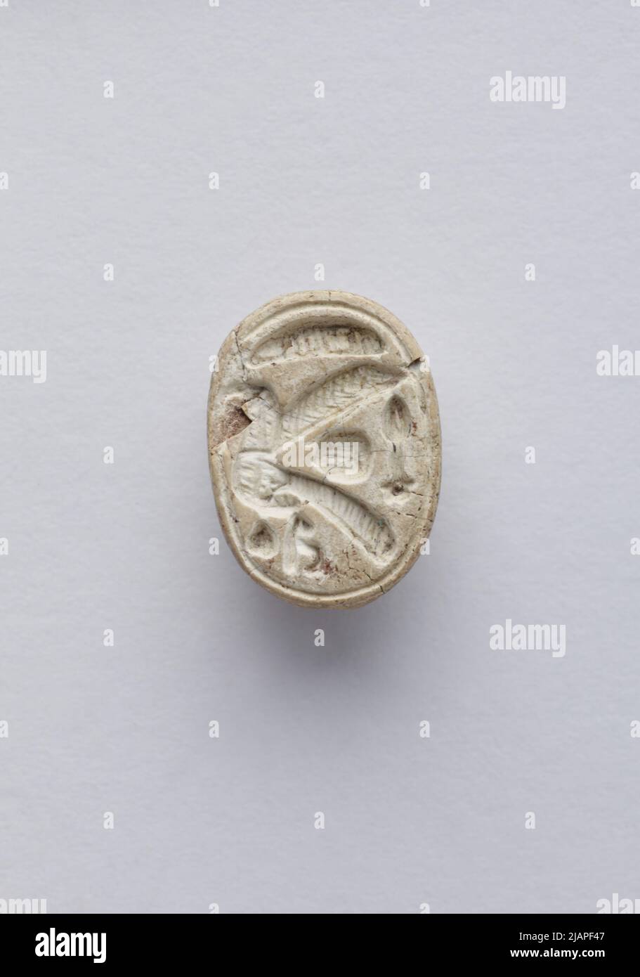 Scarab beetle insect with symbol of sun ra hi-res stock photography and ...