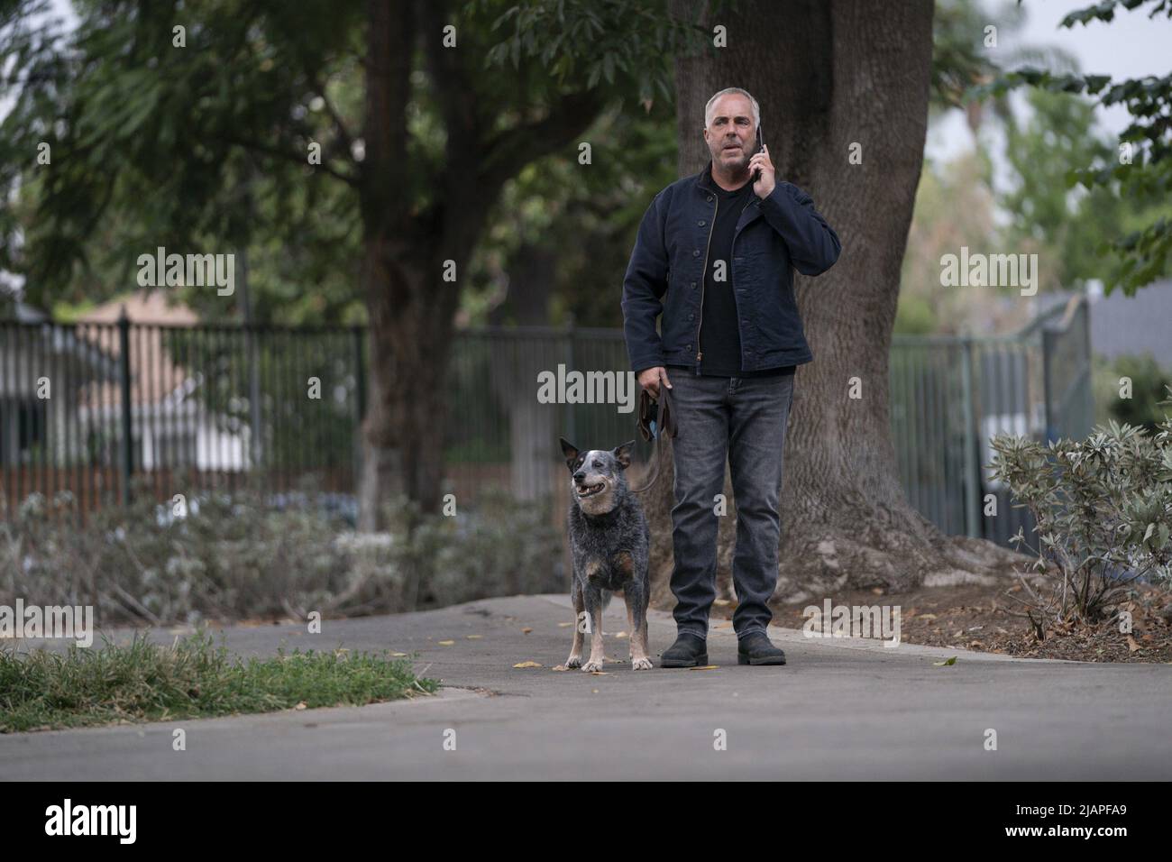 BOSCH: LEGACY, Titus Welliver, Cats Got A Name?', (Season 1, ep. 109 ...