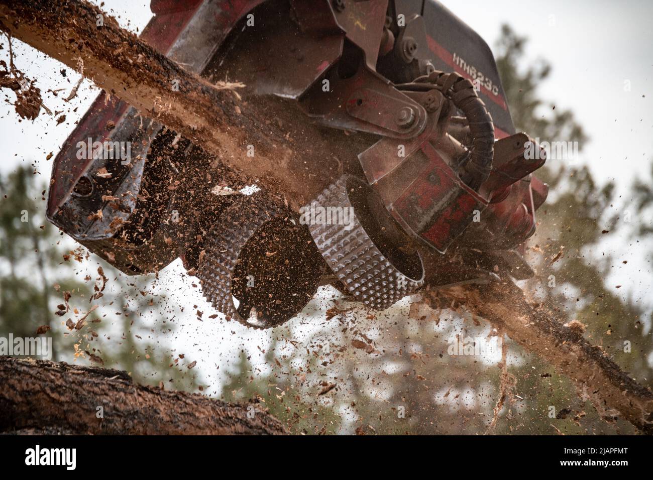 Timber grapple hi-res stock photography and images - Alamy