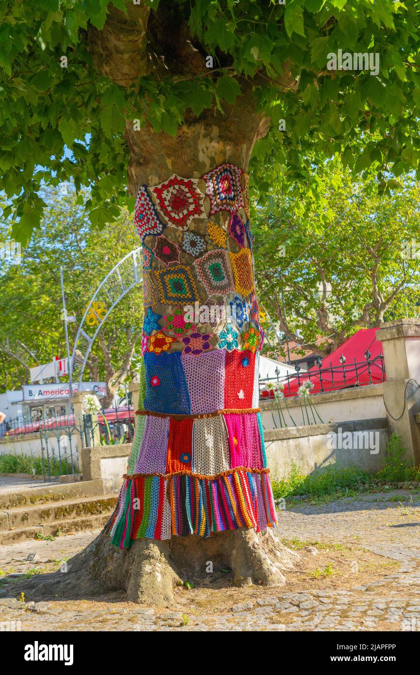 tree trunk with knitted colorful cover Stock Photo - Alamy