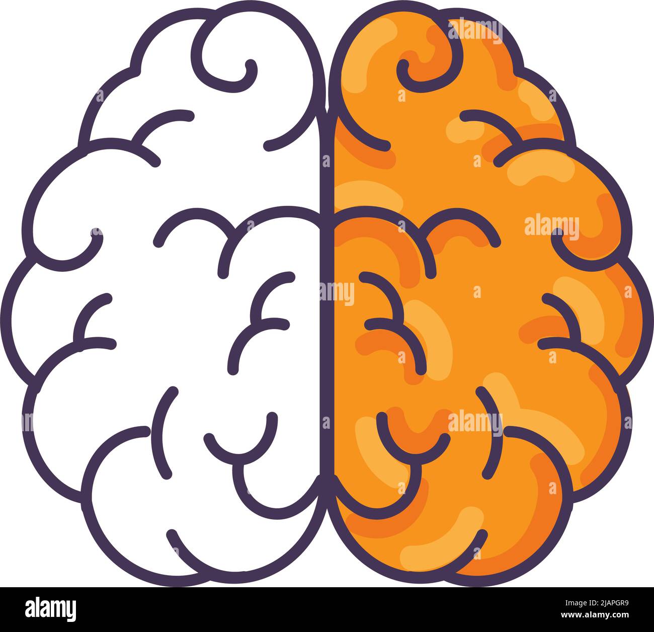 flat split brain design Stock Vector Image & Art - Alamy