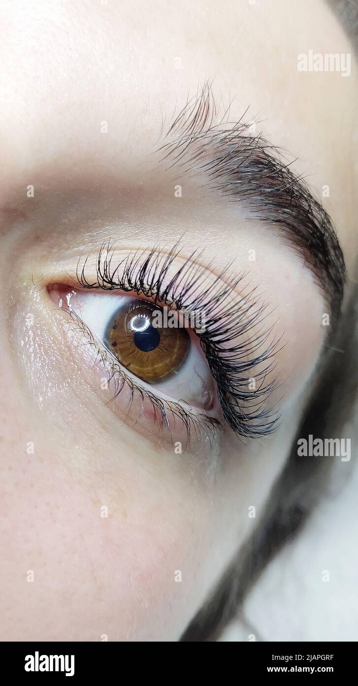 Eyelash extensions in beauty salon macro eye Stock Photo - Alamy