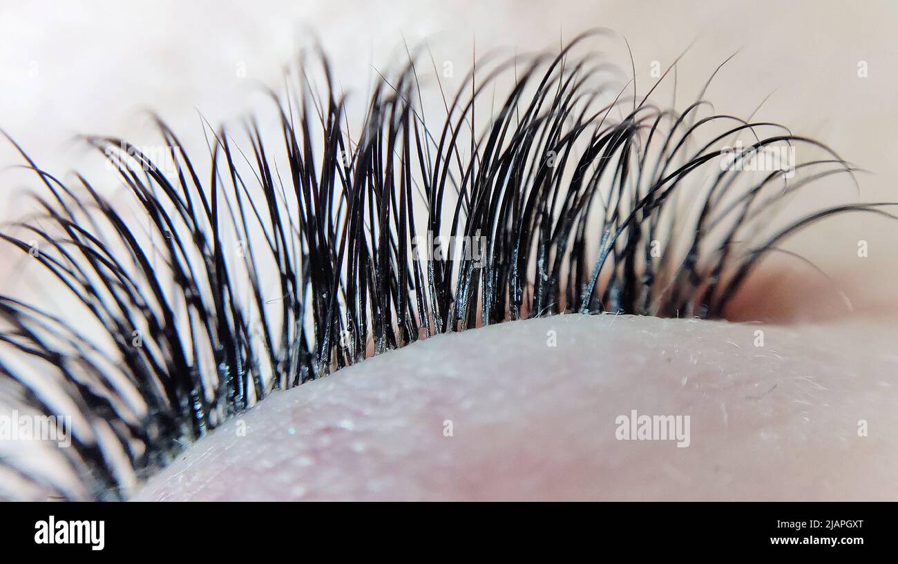 Eyelash extensions in beauty salon macro eye Stock Photo - Alamy
