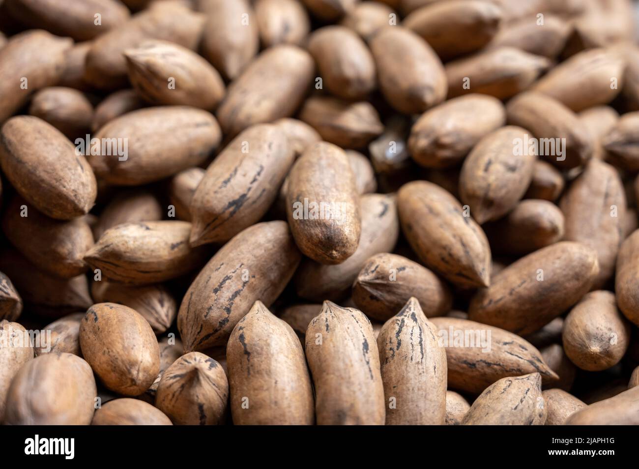 Roasted unpeeled pecan nuts, tasty healthy vegetarian food background ...