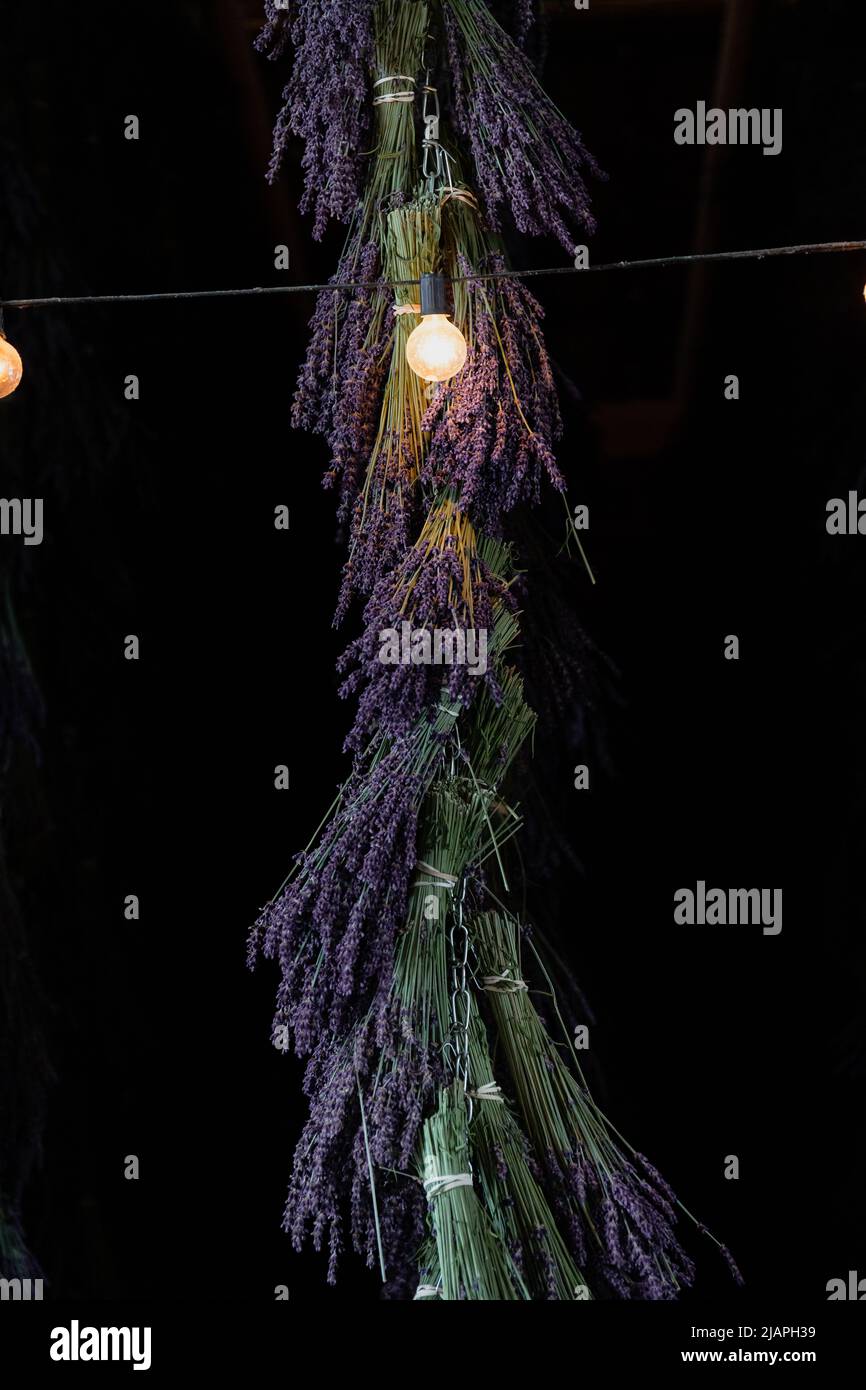 Hanging lavender bunches hi-res stock photography and images - Alamy