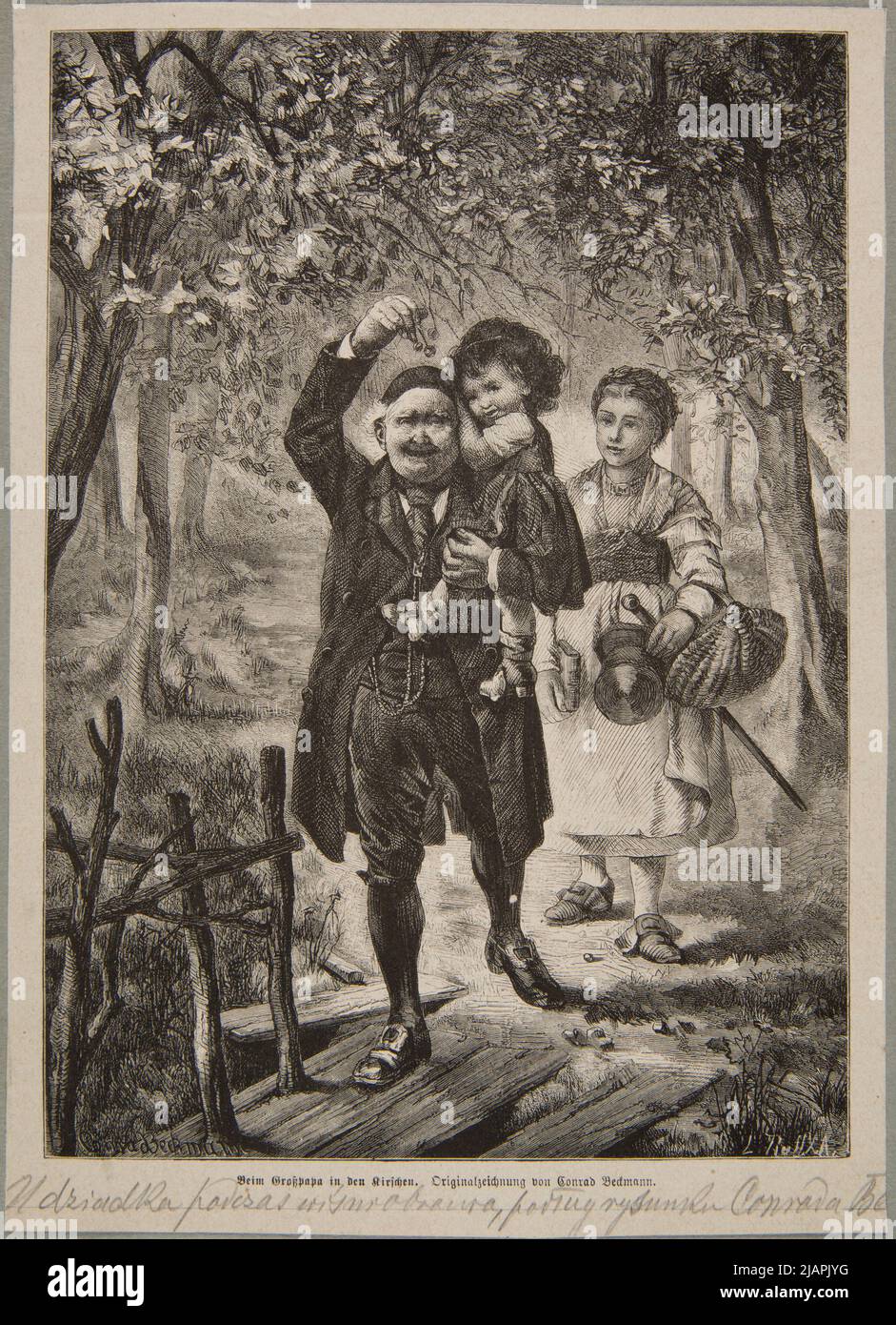 At his grandfather during cherry collections according to the drawing ...